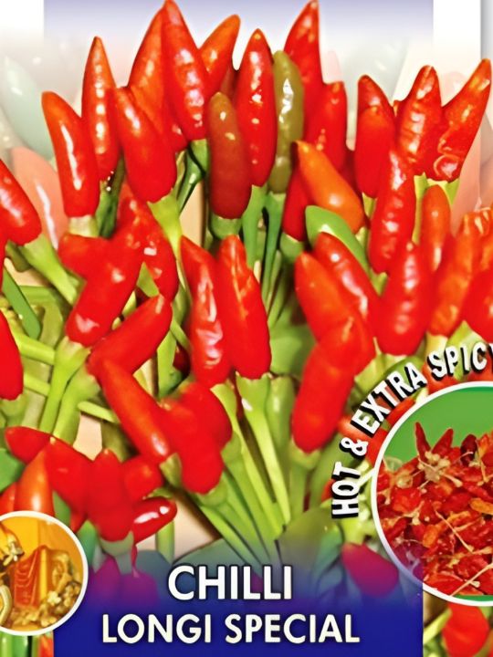 Chilli Seeds - Pepper Chilli Longi Special Vegetable 20 Plus loose ...