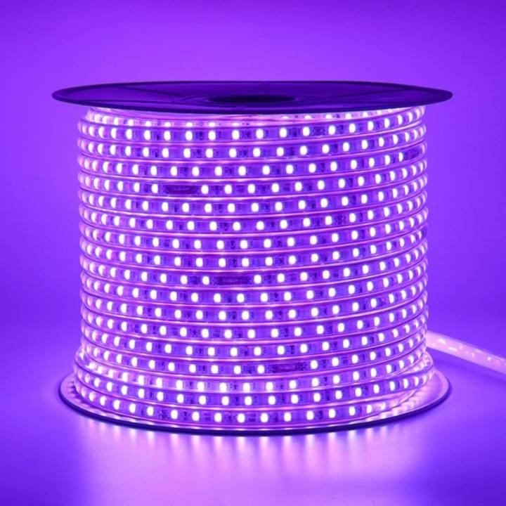 Water Proof 5 METER LED Rope Light Include Power Adapter | Daraz.com.np