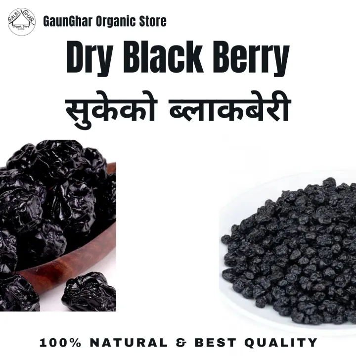 Dried Black Berry Pouch Pack 1 Kg | Daraz.com.np
