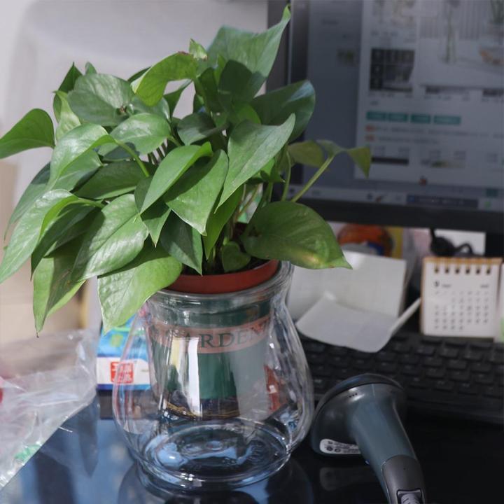 Mini Fish Self Watering Hydroponic Flower Pot Plastic Floor-standing ...