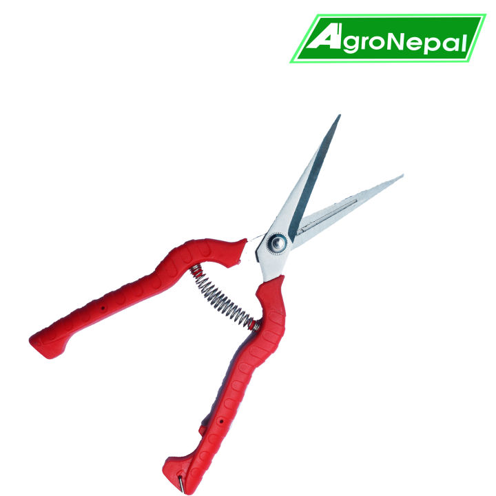 Secateur Pruning Clipper For Cutting Small Steams Of Flowers And Tomato ...