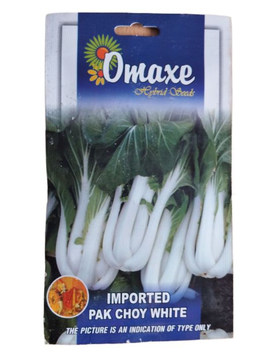 Hybrid Pak Choy White Bak Choi Vegetable Seed 50 Seeds सेतो पाकचोय ...