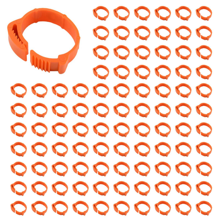 300Pcs Chicken Identification Leg Bands Tags Poultry Leg Bands Bird Leg ...