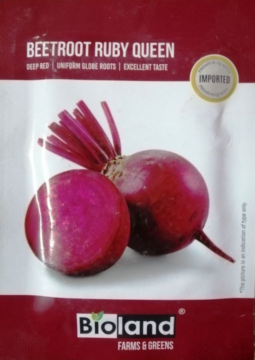Beet Root Seed-Ruby Queen (Chukandar) for Kitchen Gardening | Daraz.com.np