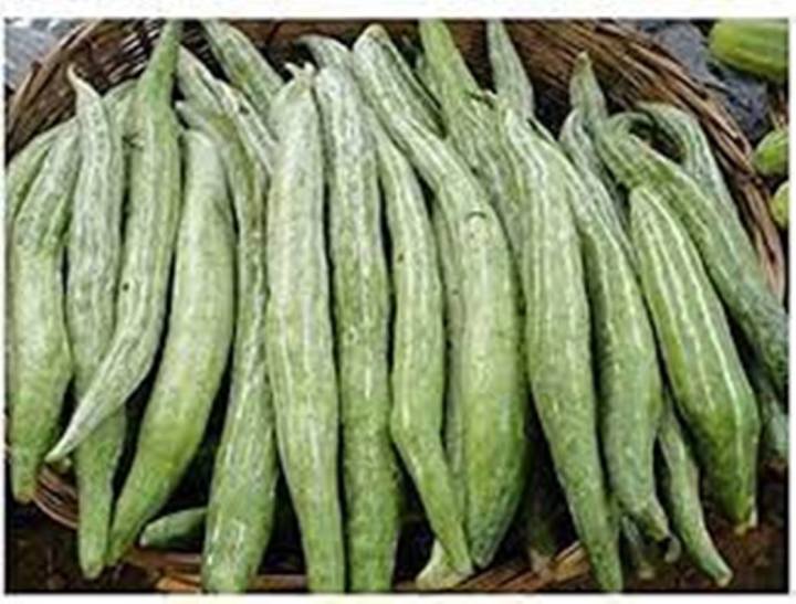 Snake Gourd Seeds 3 Gram Vegetable Chichinda / Chachinda Seeds | Daraz ...