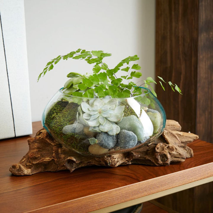 Hand-Blown Molten Glass Round Bowl Vase On Natural Wood Root 15cm ...
