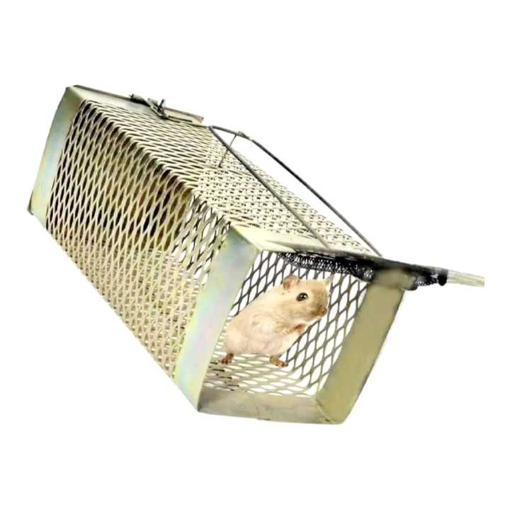 Unique Traps Rat Mouse | Daraz.com.np