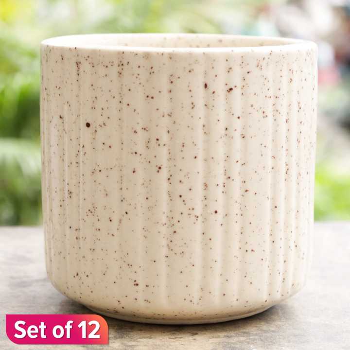 Cream Ceramic Pot 3.5X3.5Inch Set Of 12 | Daraz.com.np