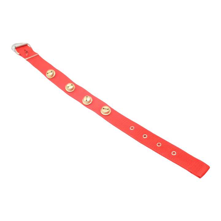 Neck Belt Red | Daraz.com.np: Buy Online at Best Prices in Nepal ...