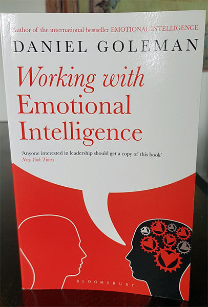 Working with Emotional Intelligence by Daniel Goleman | Daraz.com.np