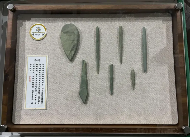 Stone Needles Display | Daraz.com.np