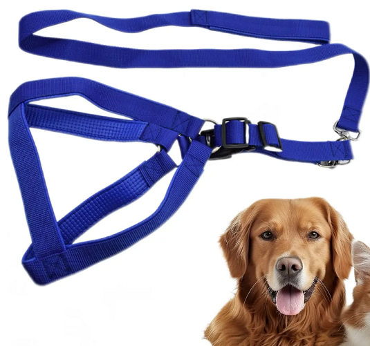 Dog Body Belt Padded - Large | Daraz.com.np