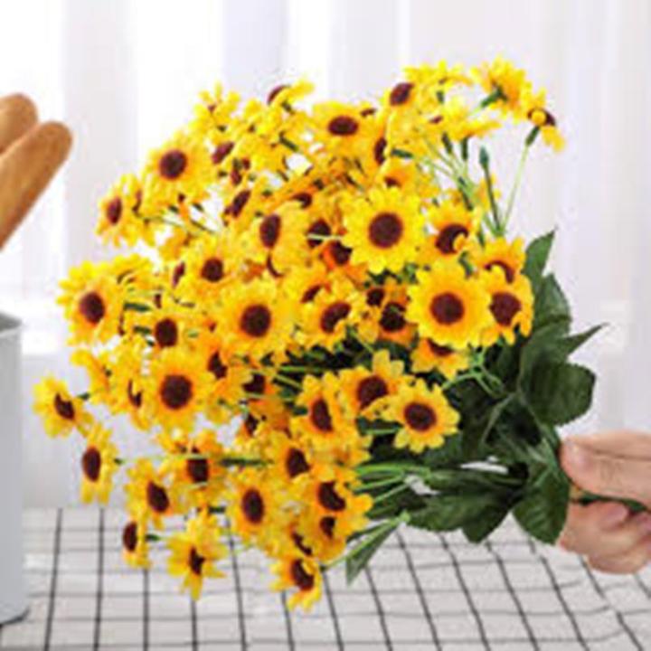 Miniature Sunflower Seeds 1 Gram | Daraz.com.np