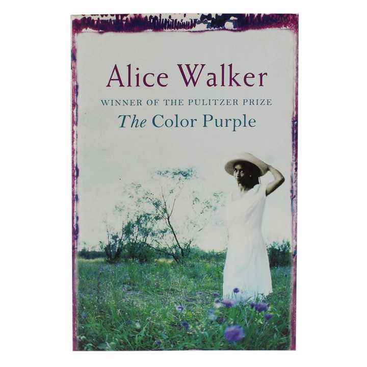 The Color Purple - Alice Walker | Daraz.com.np
