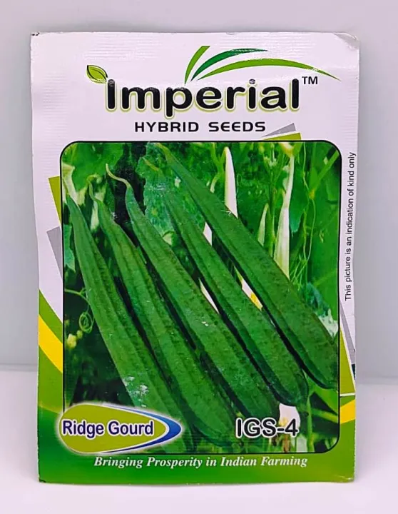 1 Packet Round A Year Vegetable Seeds - All Time All Season Vegetable ...