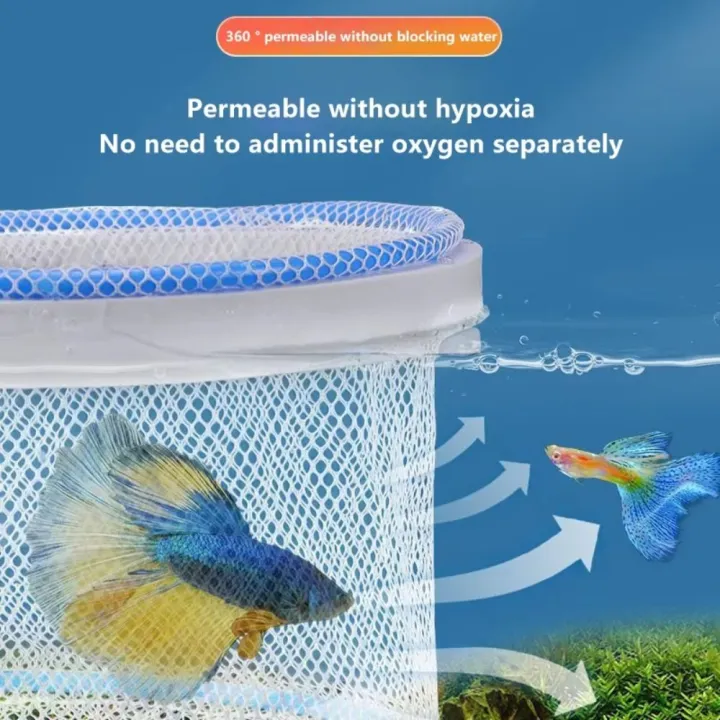 New Multiple sizes Aquarium Fish Isolation Box Breathable Fishproof ...