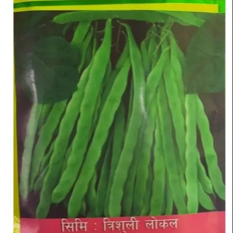 Vegetable Seeds - Round a Year Trisuli Local Bean Seeds 20 Gram ...