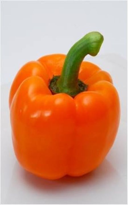 Capsicum Seeds Orange Imported Variety 30 Plus Seeds | Daraz.com.np