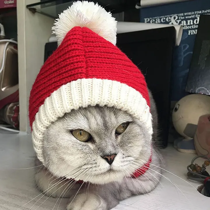 Costume Decor Winter For Small Medium Large Dogs Christmas Warm Pet ...