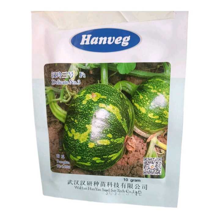 1 Piecs of Delicate No 3 Greeny Hybrid F1 Pumpkin 10 Gm | Daraz.com.np
