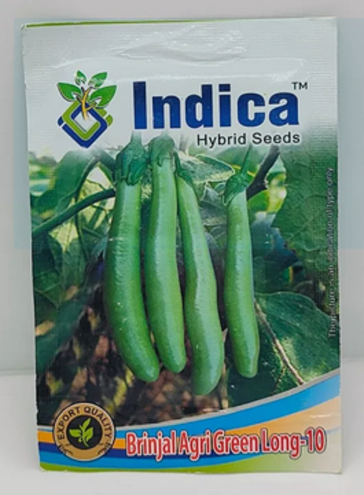 Vegetable Seed - 1 Packet Brinjal Agri Green Long Seeds | Daraz.com.np