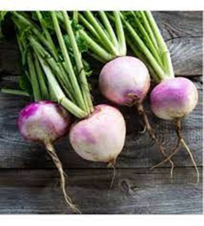 Turnip Seeds (SALGAM) Purple Package of 10 gram | Daraz.com.np