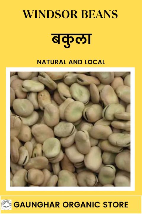 Bakula ( Winsder Beans ) 1 Kg | Daraz.com.np