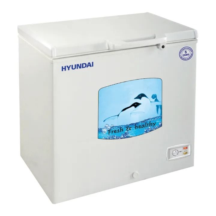 Hyundai Hard Top Chest Freezer - BD300AF (HYU300) | Daraz.com.np
