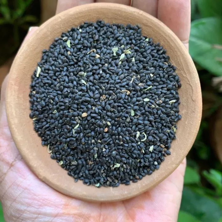 Basil Seeds / Tulsi ko biya / Tulsi Seeds, तुलसी बीज, Tulsi Beej ...
