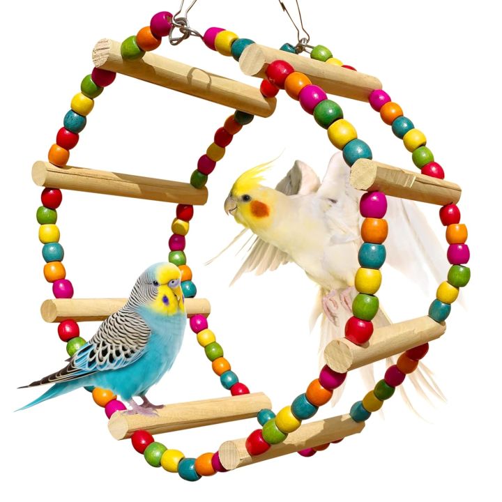 Bird Toy Colorful Toy | Giant Round Swing Wheel Cage Toy for Bird ...