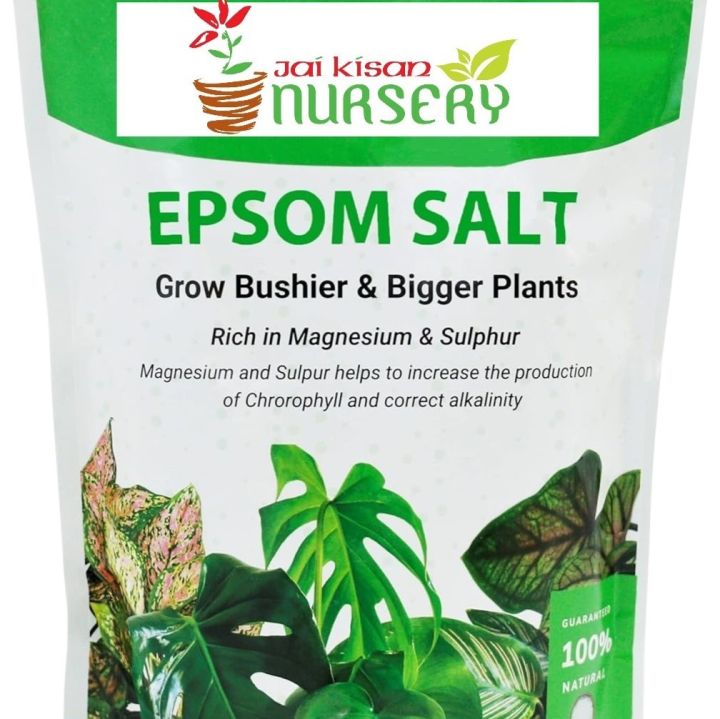 Epsom Salt | Fertilizer for Plants | (500g) | Daraz.com.np