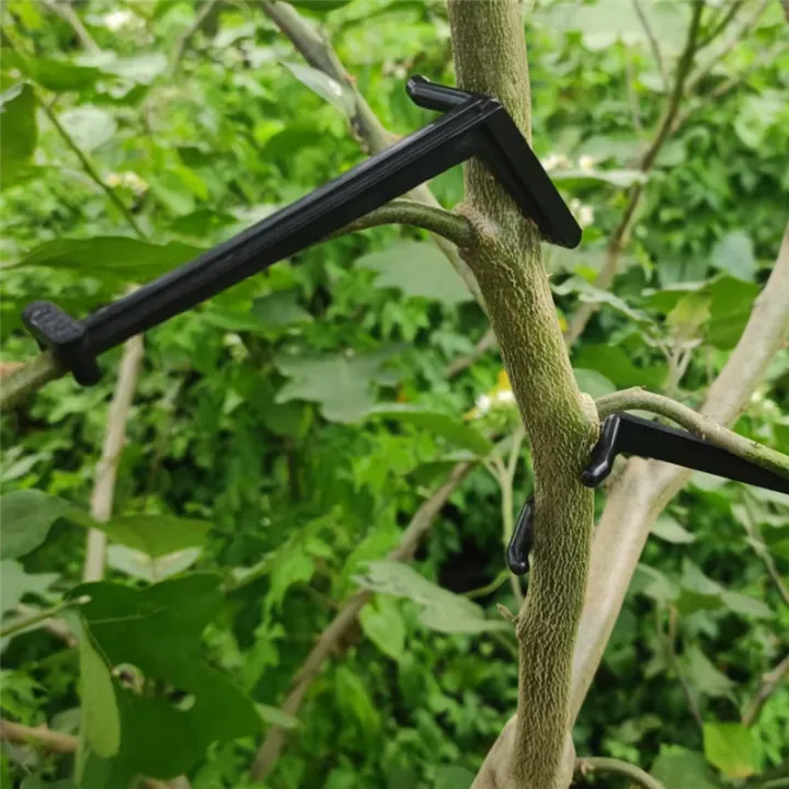Fruit Tree Plastic Branch Separator Plant Stem Traine Fruit Tree Branch ...