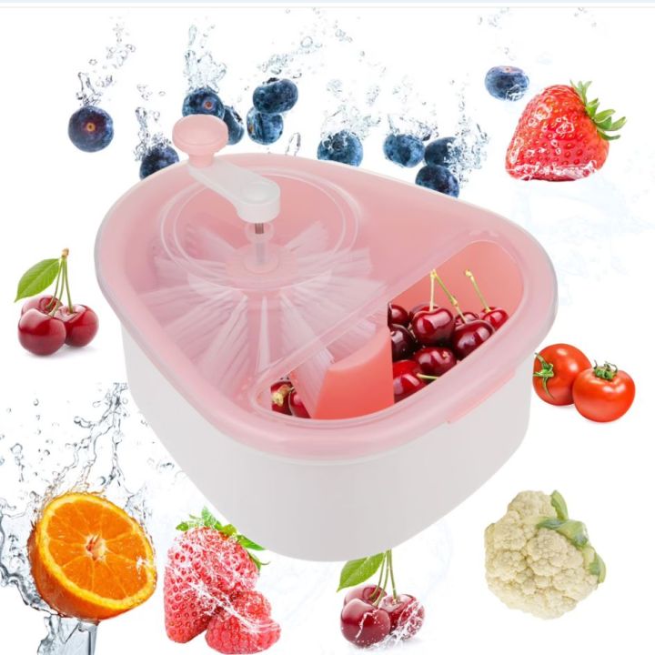 Fruit and Vegetable Cleaning Machine | Daraz.com.np