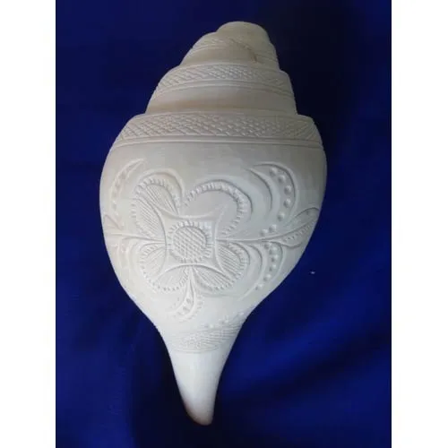 Sankha ,Conch Shell Big Size | Daraz.com.np