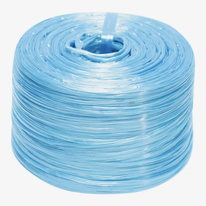 Blue Plastic Rope | Daraz.com.np