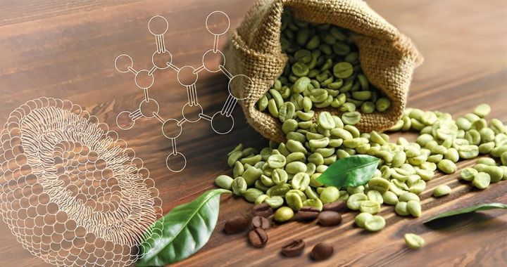 Nepali Green Coffee Beans - Himalayan Aroma Coffee - (1 Kg.) - 100% ...