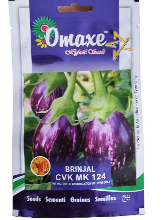 Hybrid Brinjal CVK MK-124 Vegetable Seeds Under 10 Gm | Daraz.com.np