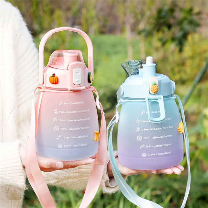 NepLiving 1.2L Water Bottle with Straw Gradient Color Frosted ...