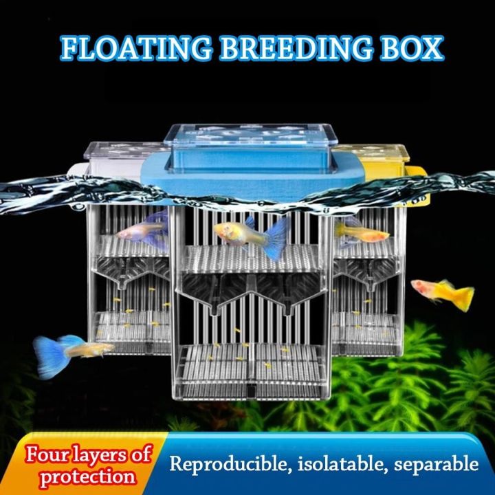 New Transparent Fish Breeder Box Square Clear Frame Aquarium Breeder ...