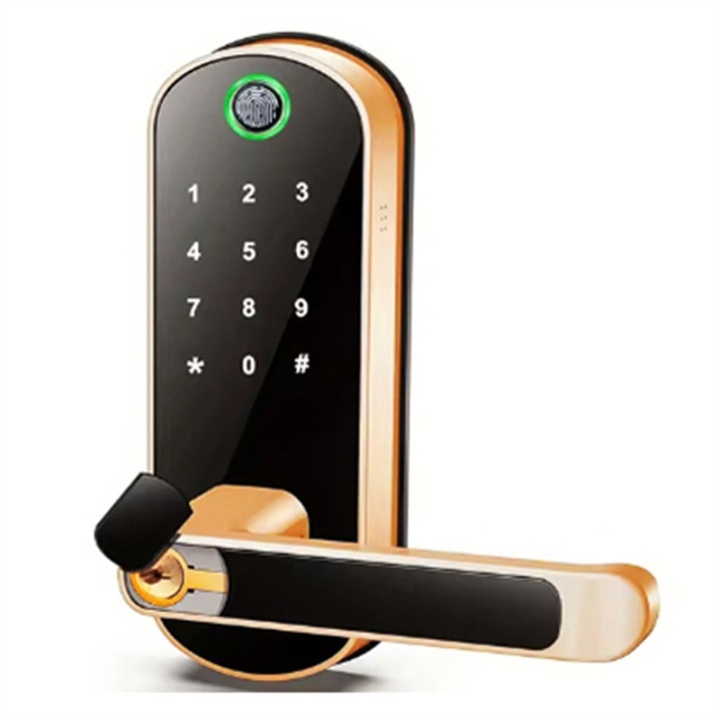 Tuya Wifi Smart Fingerprint Door Lock App Remote Control Keyless WIFI ...