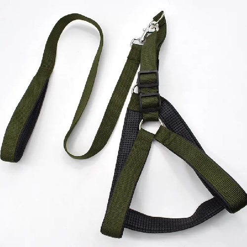Dog Body Belt Padded - XL | Daraz.com.np