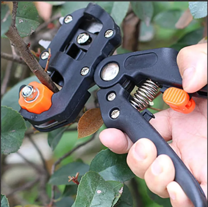 Auto Grafting Tool With 3 Interchangeable Blades – Precise, Durable ...