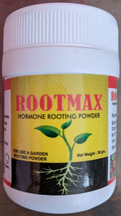 RootMax Root Growth Booster (Rooting Hormone) -30 Gram | Daraz.com.np