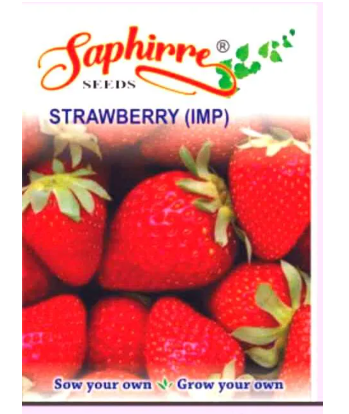 1 Packet of Sapphire Strawberry Seeds – Contains 40+ -Quality Fruit ...