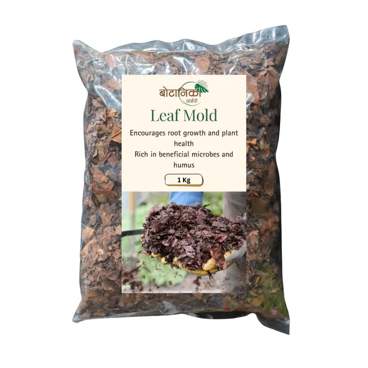 Leaf Mold (Patkar Mal) 1kg | Organic Soil Conditioner & Compost for ...