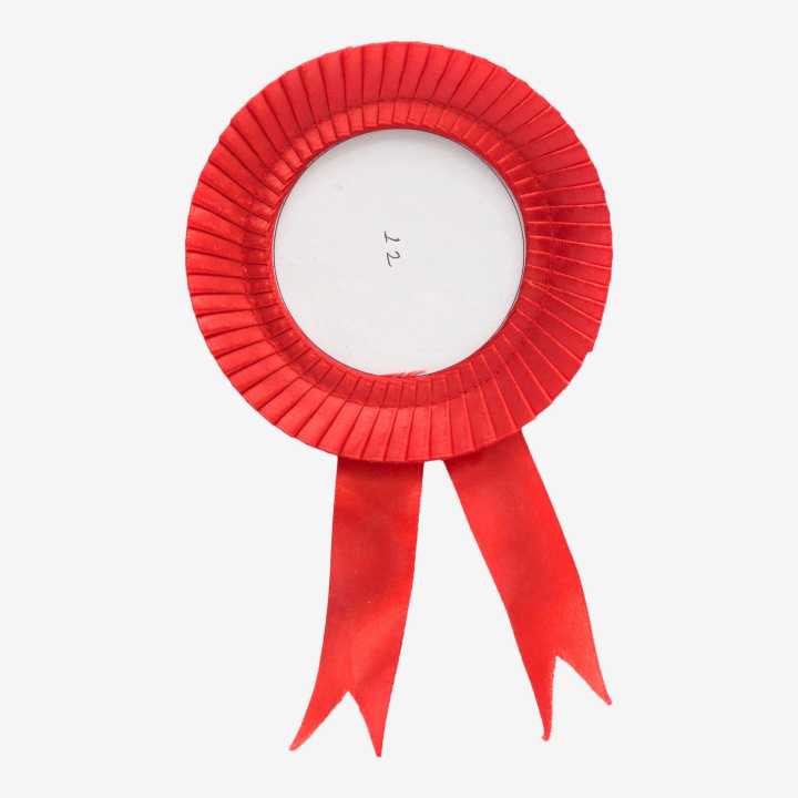Ribbon Badge ( One Layer ) for Guest, Awards, Party Celebrations ...