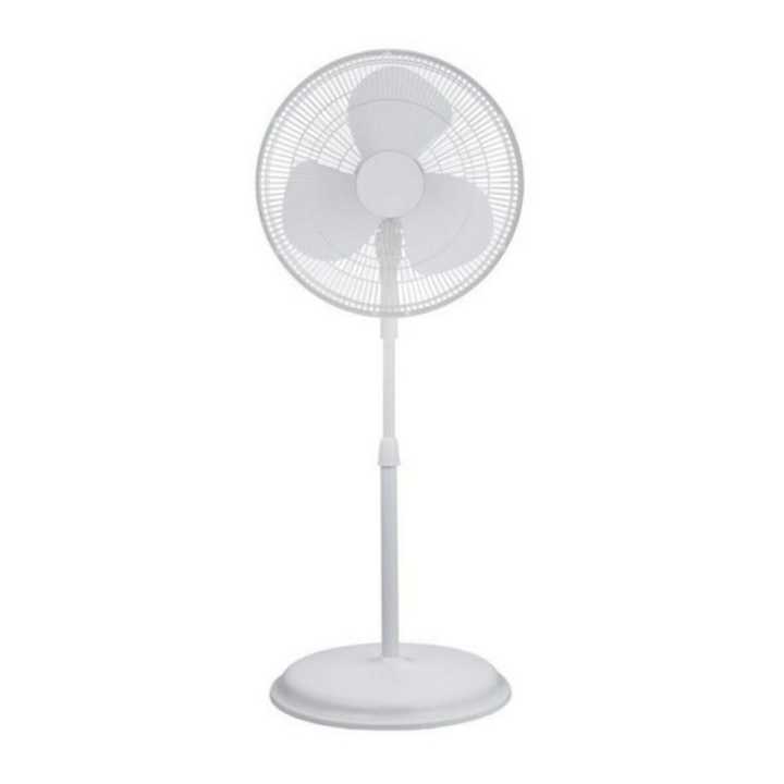 Olive Fan FS40-B1 | Daraz.com.np