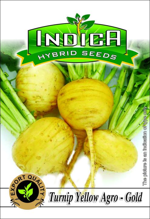 Vegetable Seed- 1 Packet Turnip Seeds - Yellow Super | Daraz.com.np