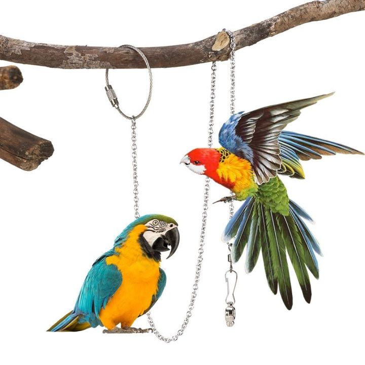 Stainless Steel Flying Training with Swivel Buckle Outdoor Starling ...