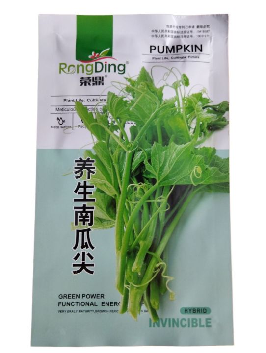 Hybrid Japanies Pumpkin ( Munta Khane Pharsi) Vegetable Seed 10 Gm ...